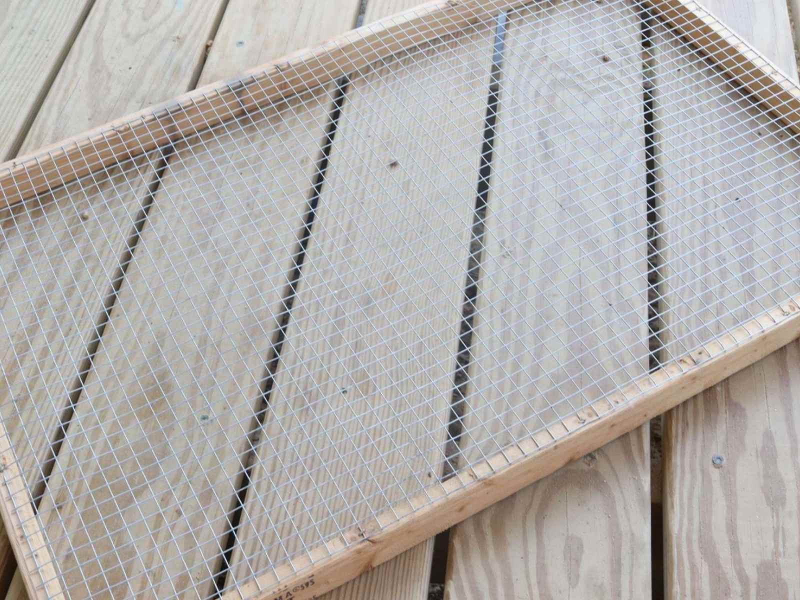 Supplies to Raise Your Own Quail - Beginners Guide