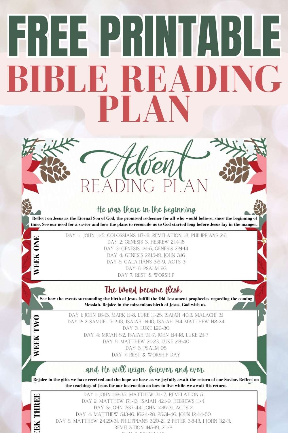 Advent Bible Reading Plan with Free Printable