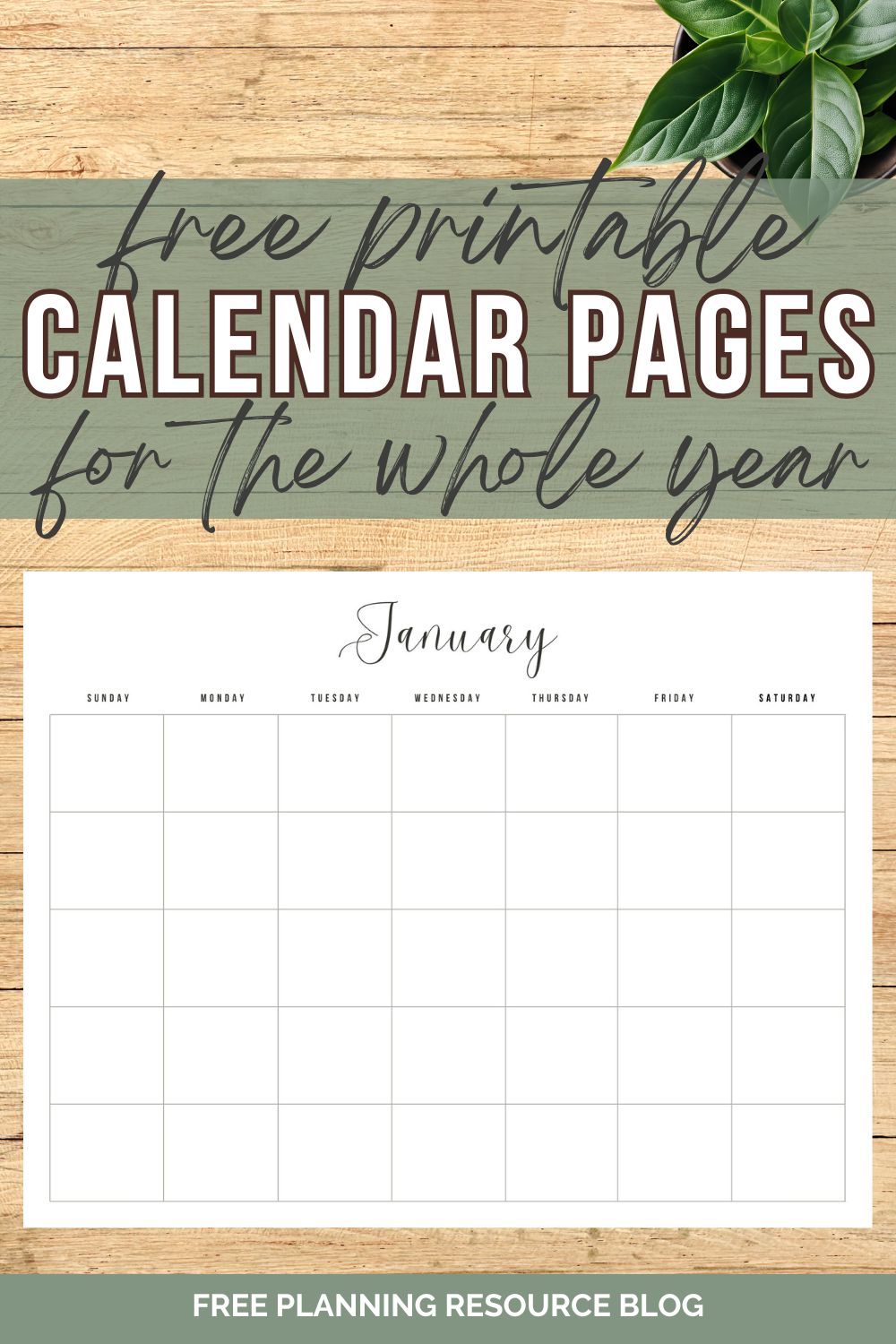 Free 12 Month Undated Calendar Printable